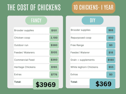 The cheapest way to raise backyard chickens in 2024 - Simply Restored
