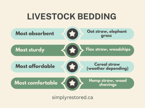 The best (and worst) bedding for your homestead pigs - Simply Restored